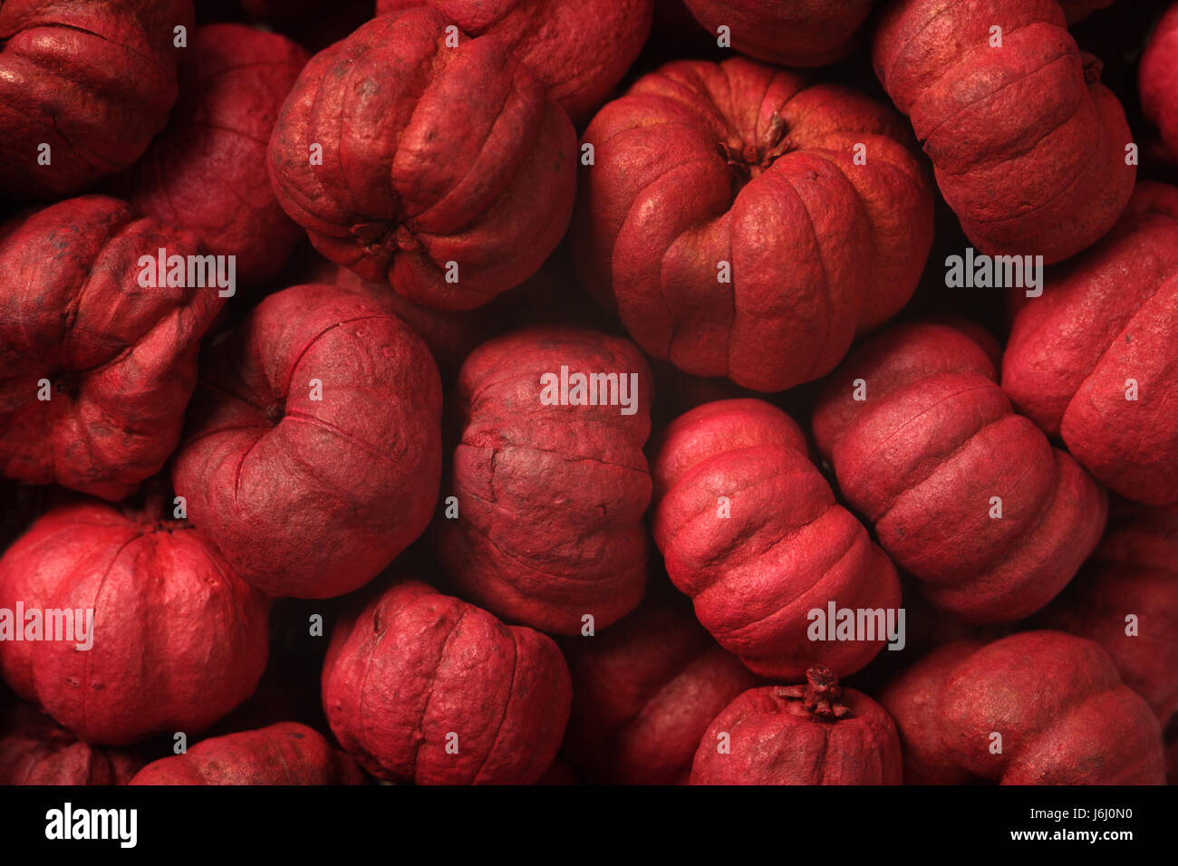 mini emblements seeds backdrop background red macro close-up macro ...