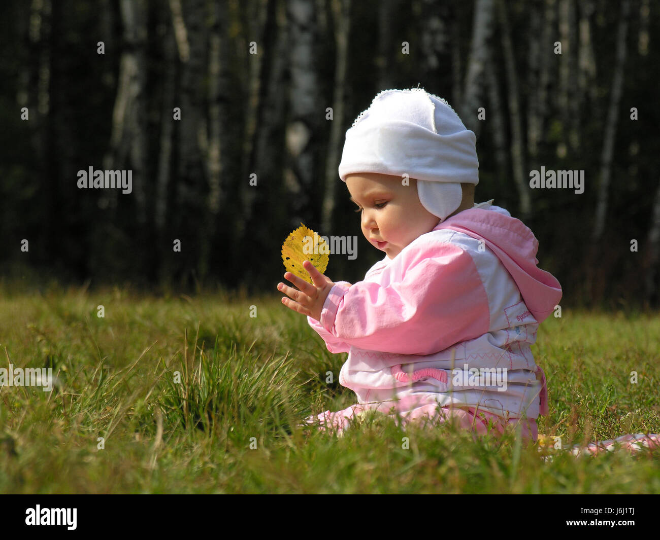 humans human beings people folk persons human human being leaf sweet ...