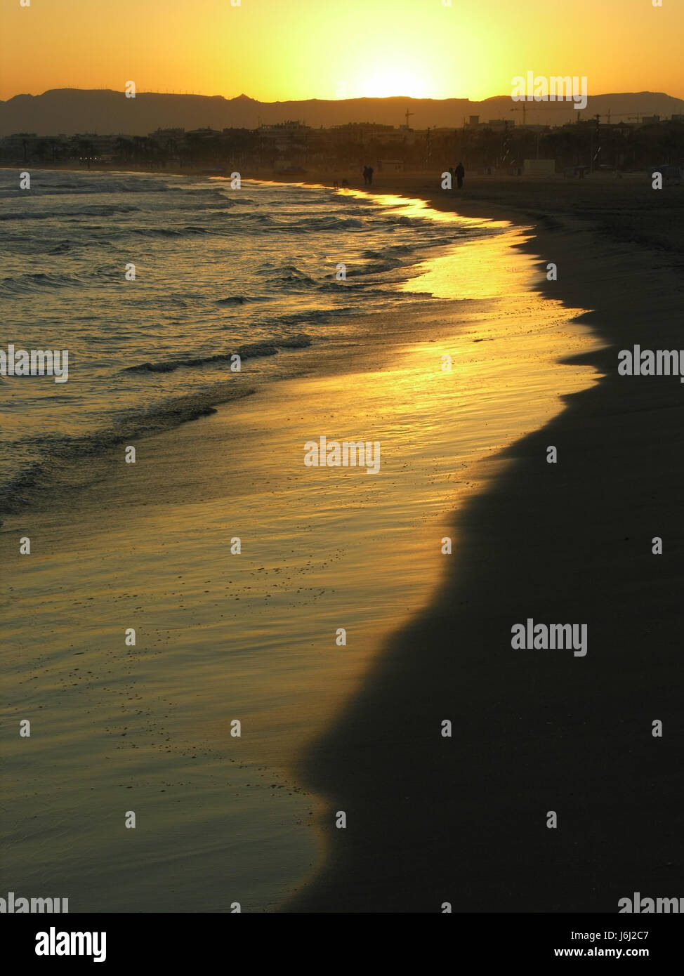 humans human beings people folk persons human human being walk go going ...