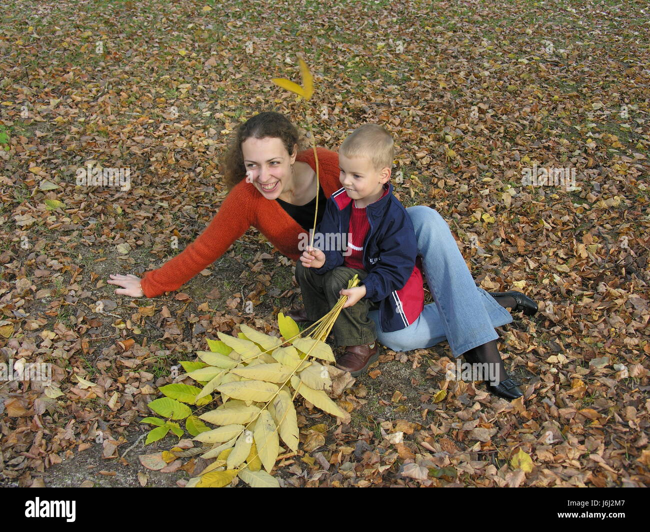 humans human beings people folk persons human human being laugh laughs ...