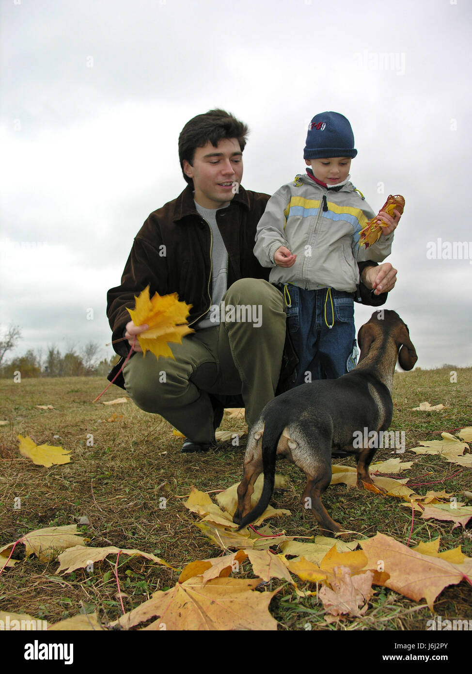 adult autumn boy child dad daddy dale fall families family father fun ...