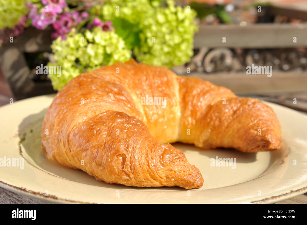 bread pastries pastry food breakfeast breakfast food aliment flower ...