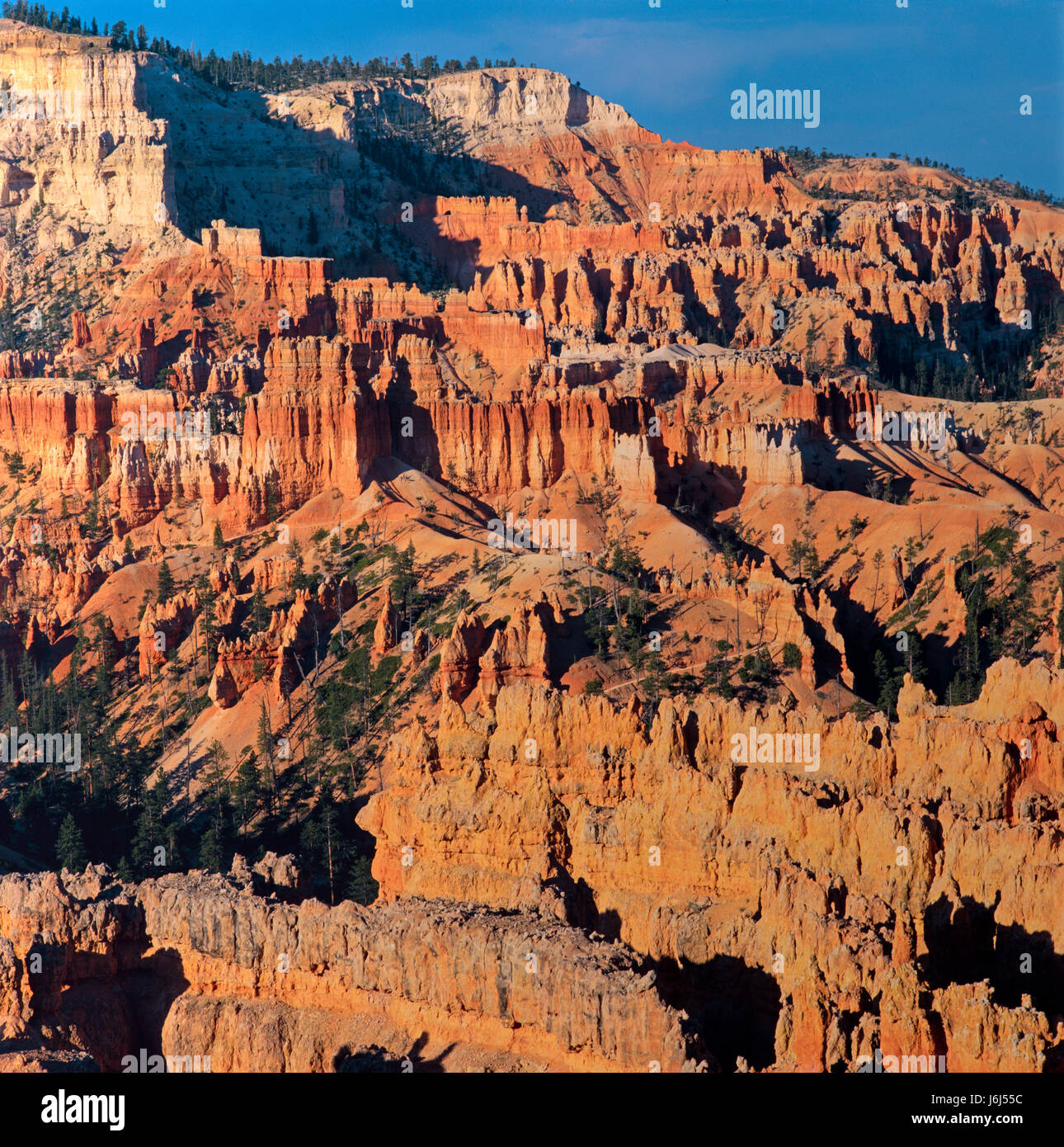 hoodoos in queens garden,bryce canyon,utah,usa Stock Photo - Alamy