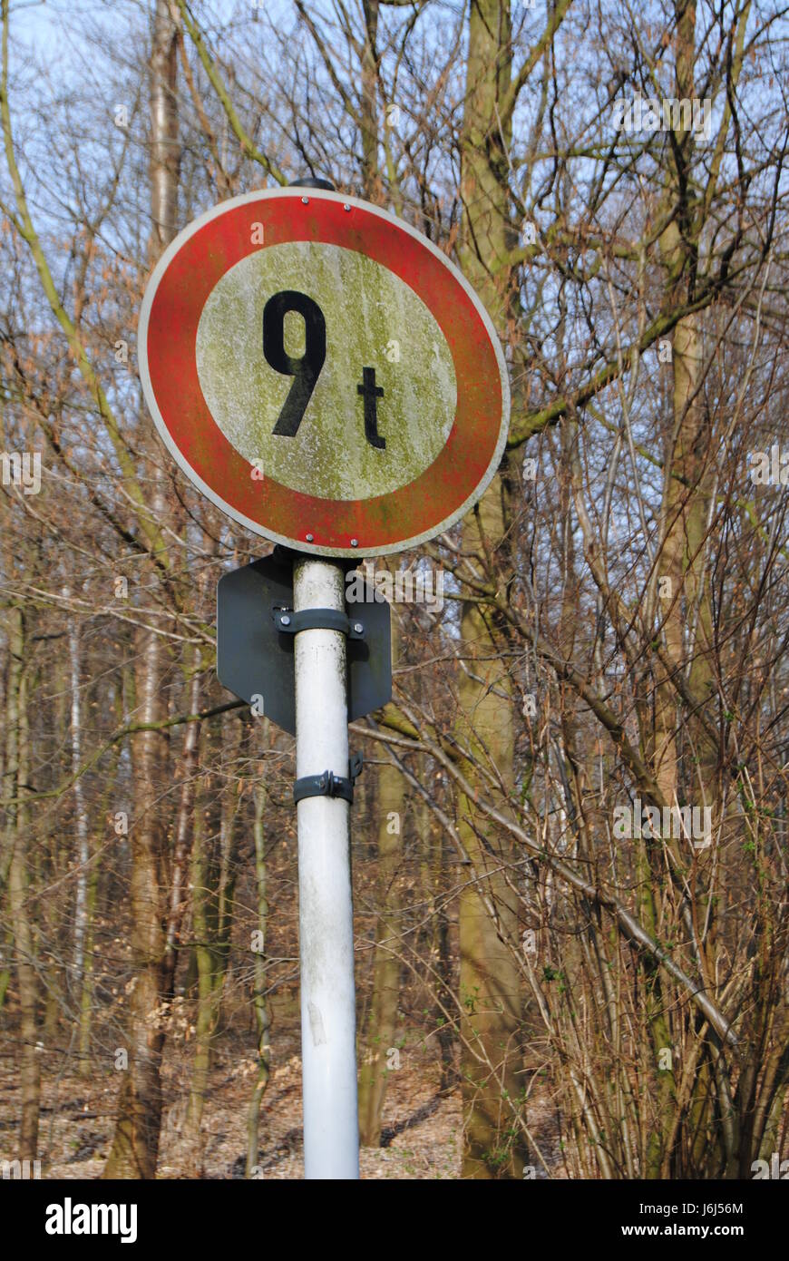 sign signal traffic sign weatherworn forest natural sign signal skew ...