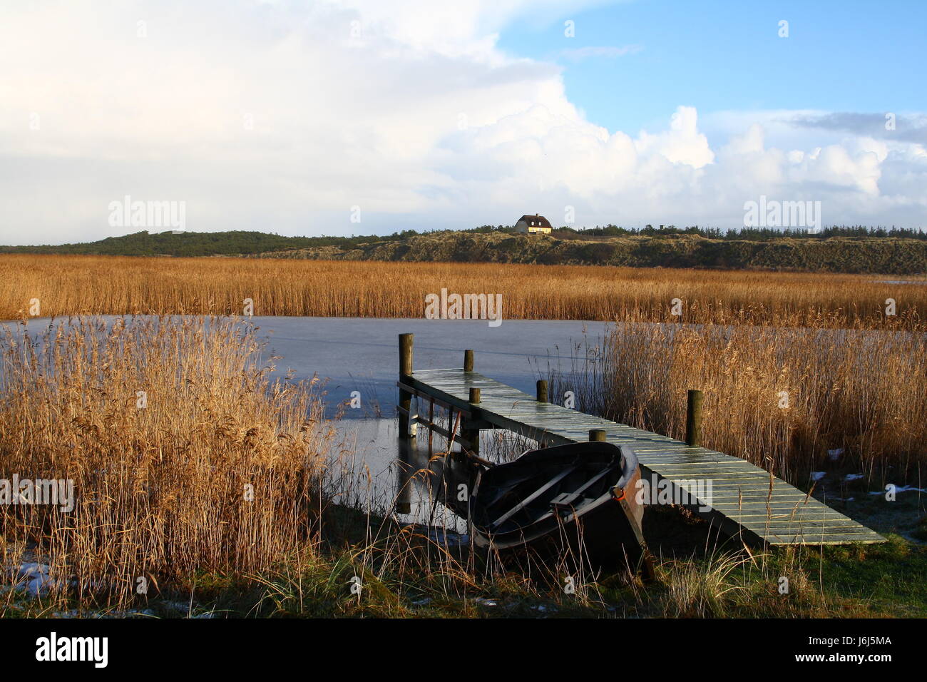 reed salt water sea ocean water rowing boat sailing boat sailboat boat ...