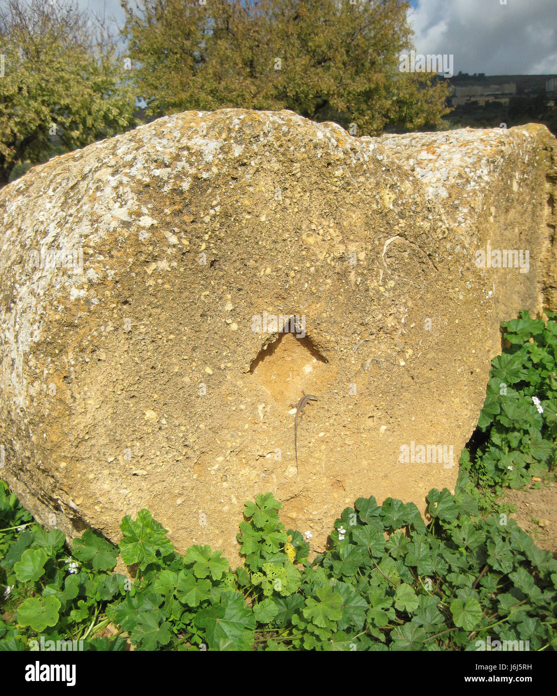 temple lizard greek pillar sicily module italy historical temple ...