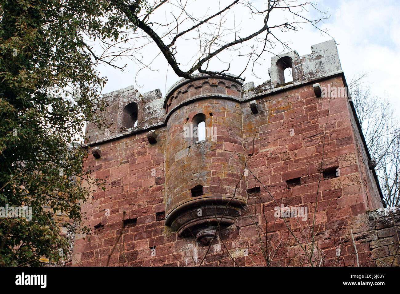 Wildberg castle hi-res stock photography and images - Alamy