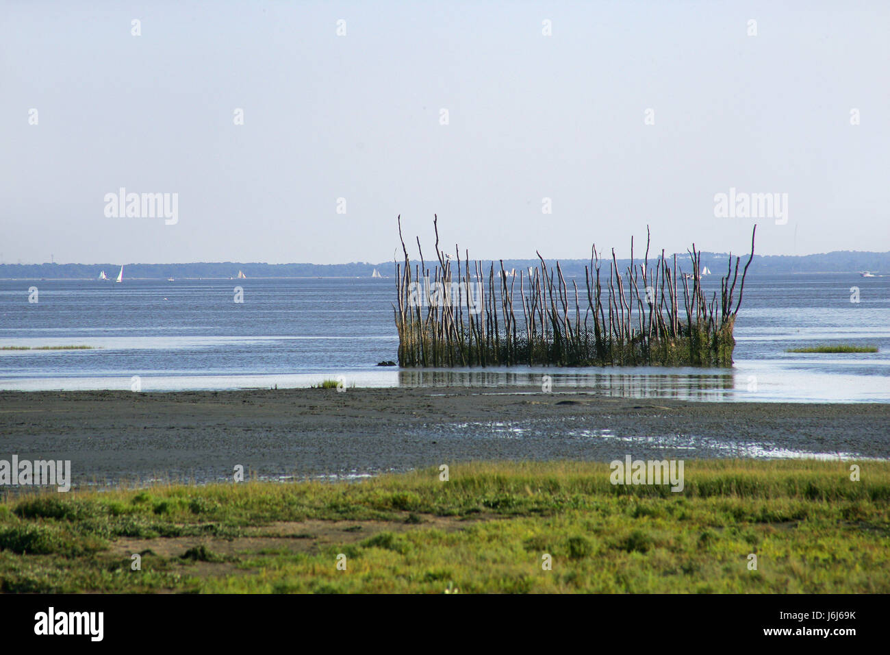 low tide landscape scenery countryside nature salt water sea ocean ...