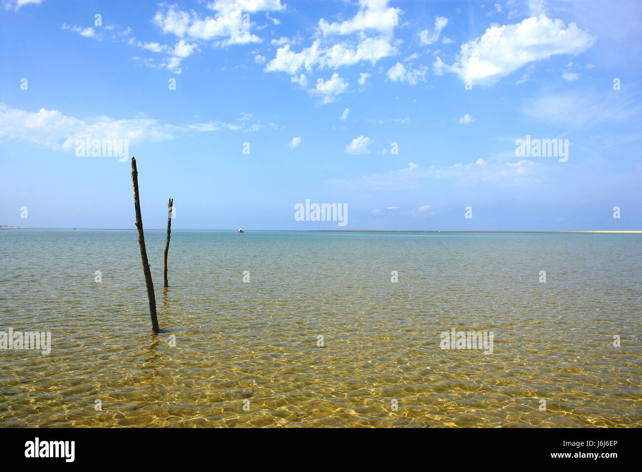 environment enviroment beach seaside the beach seashore horizontal ...