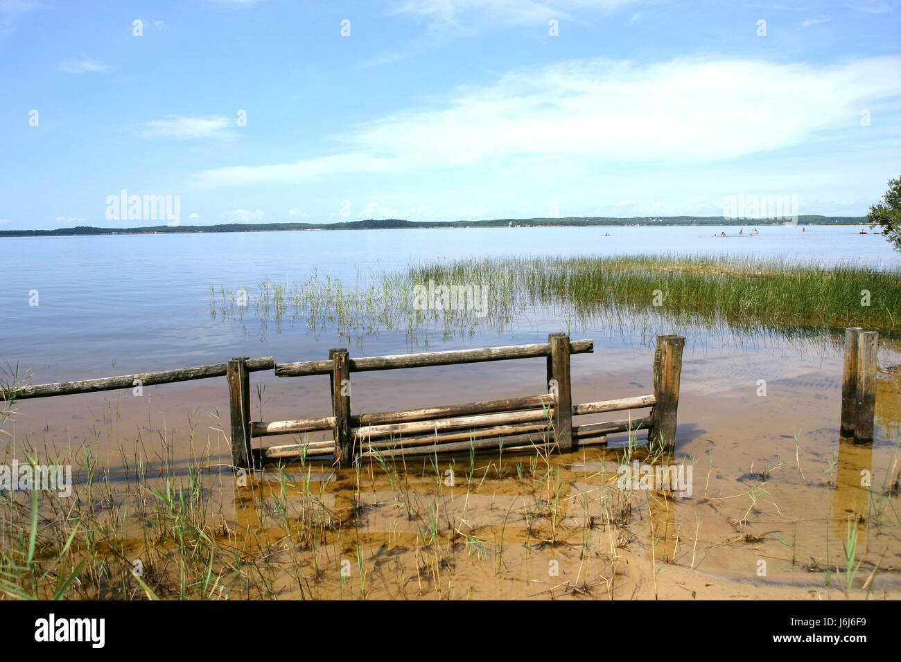 environment enviroment horizontal water bassin darcachon gironde ...