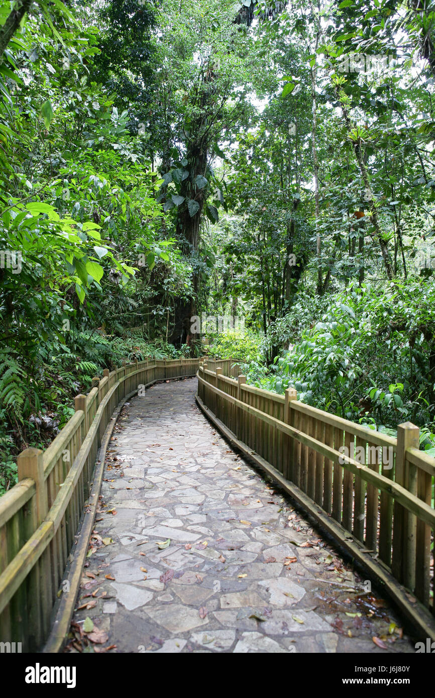 bridge goal passage gate archgway gantry vertical antilles vegetation ...