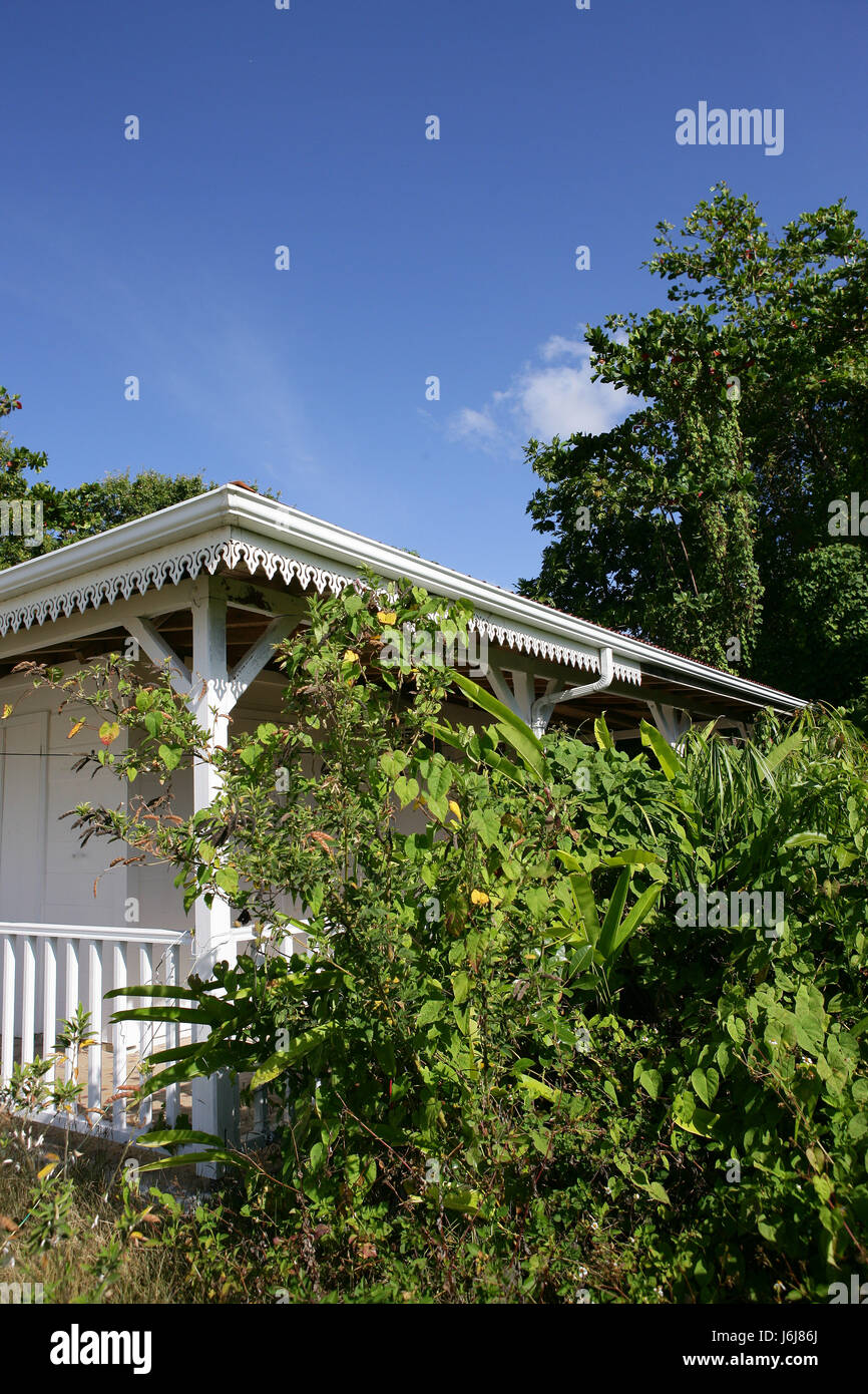 house building vertical habitat antilles vegetation island caribbean ...