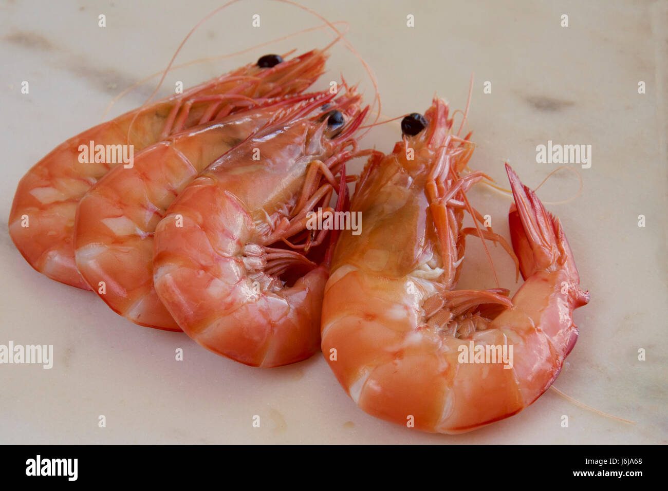 Australian cooked king prawns Stock Photo - Alamy