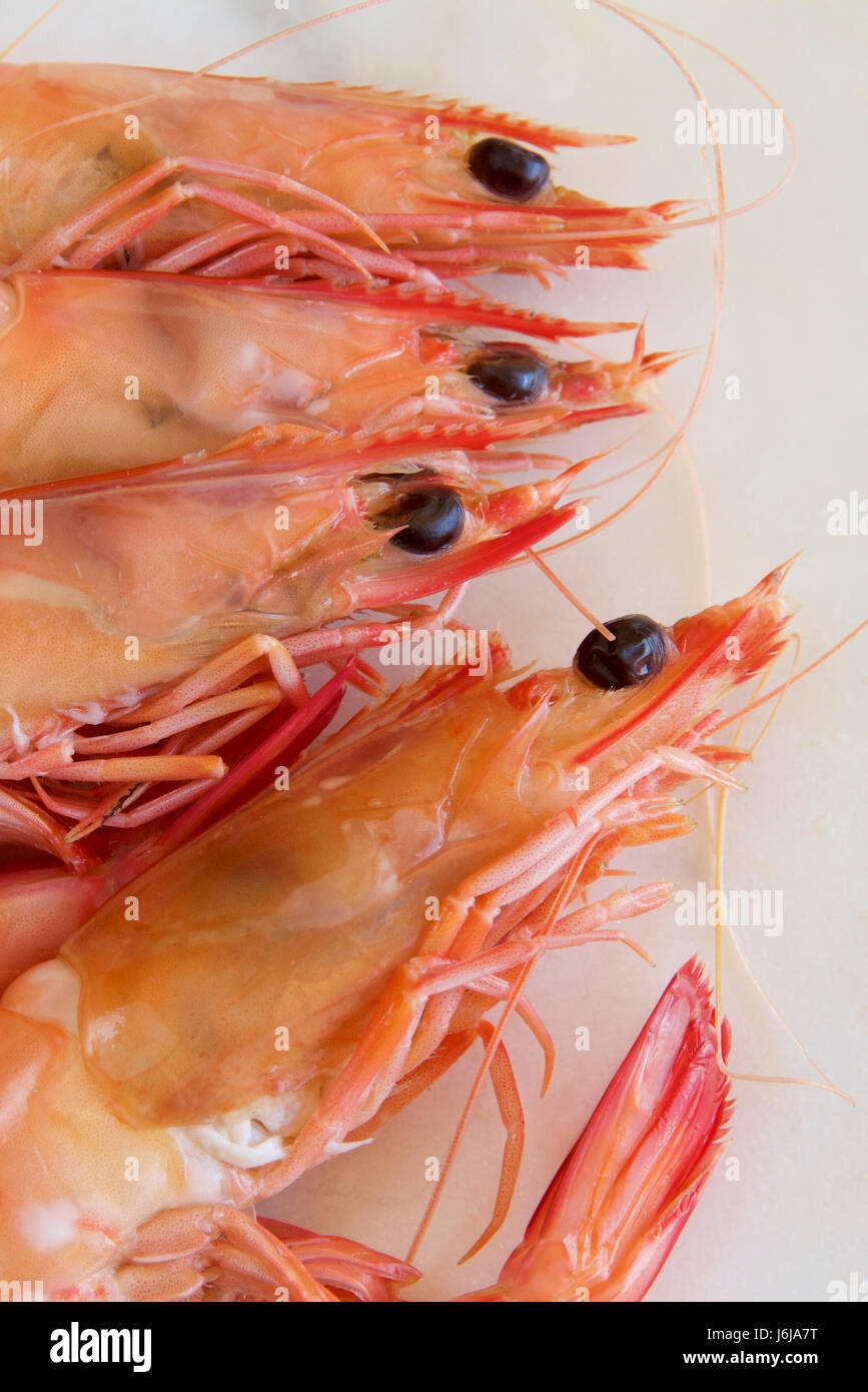 Australian shrimp hi-res stock photography and images - Alamy