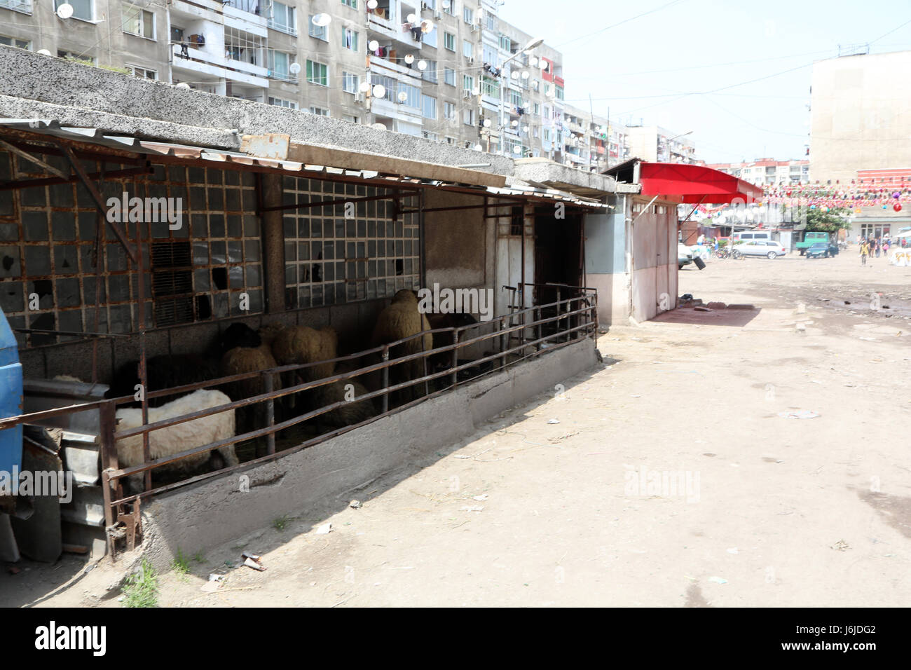 Bulgaria, Stolipinovo, Roma ghetto Stock Photo - Alamy