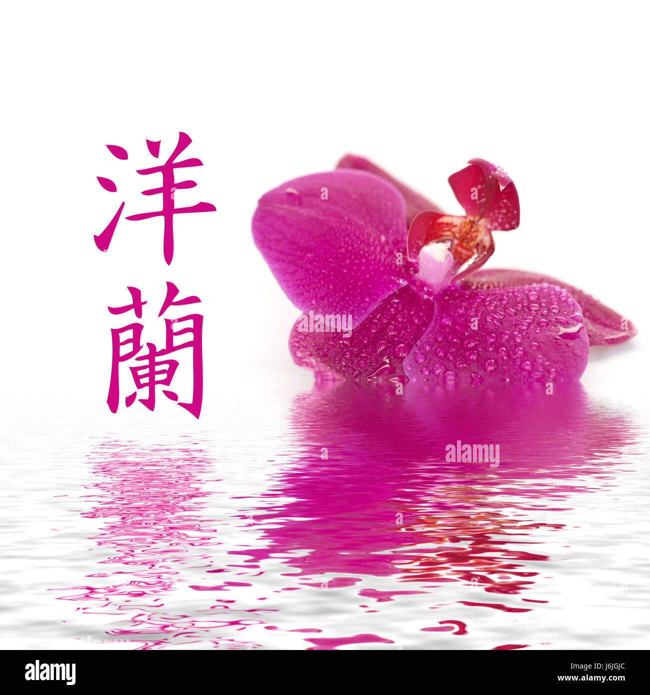 flower plant bloom blossom flourish flourishing harmony chinese ...