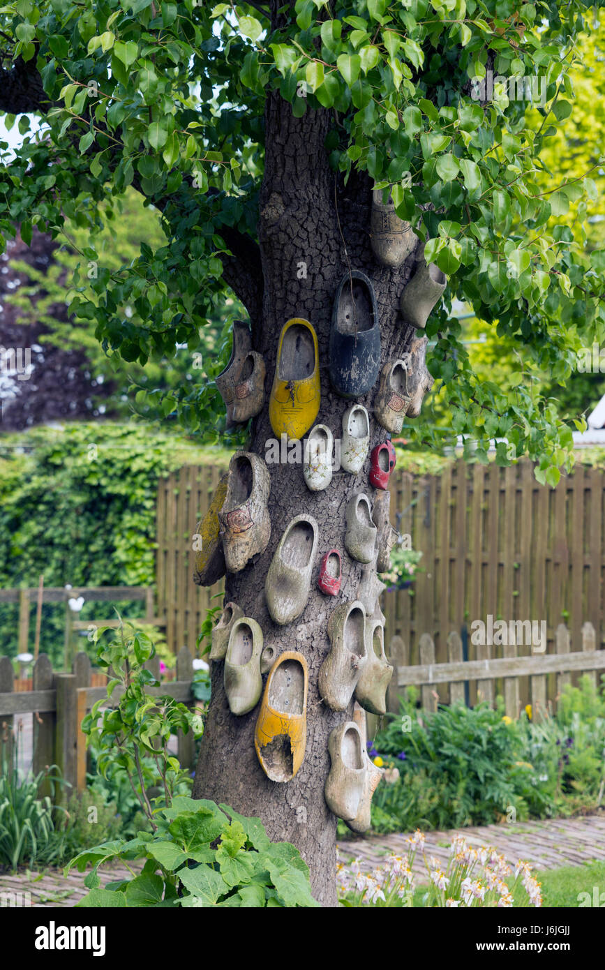 Tree covered with clogs in a small town in the Netherlands Stock Photo ...