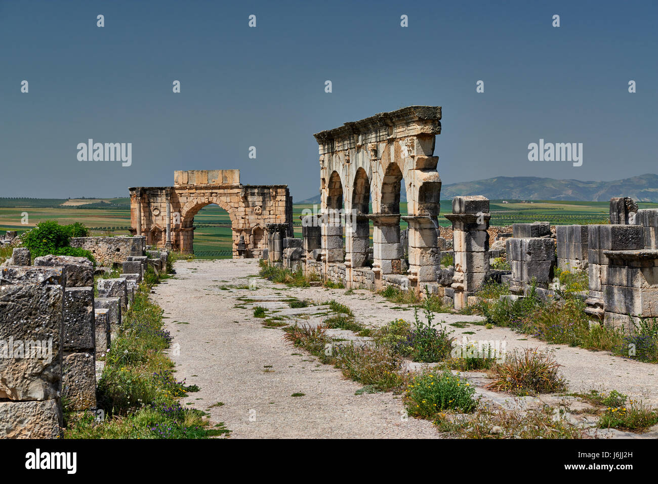 Decumanus Maximus, main road through Roman excavation of Volubilis ...