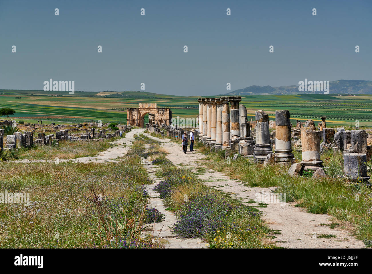 Decumanus Maximus, main road through Roman excavation of Volubilis ...