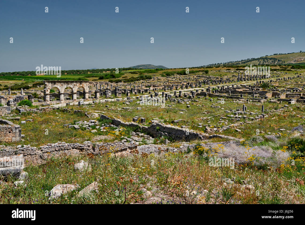 Decumanus Maximus, main road through Roman excavation of Volubilis ...