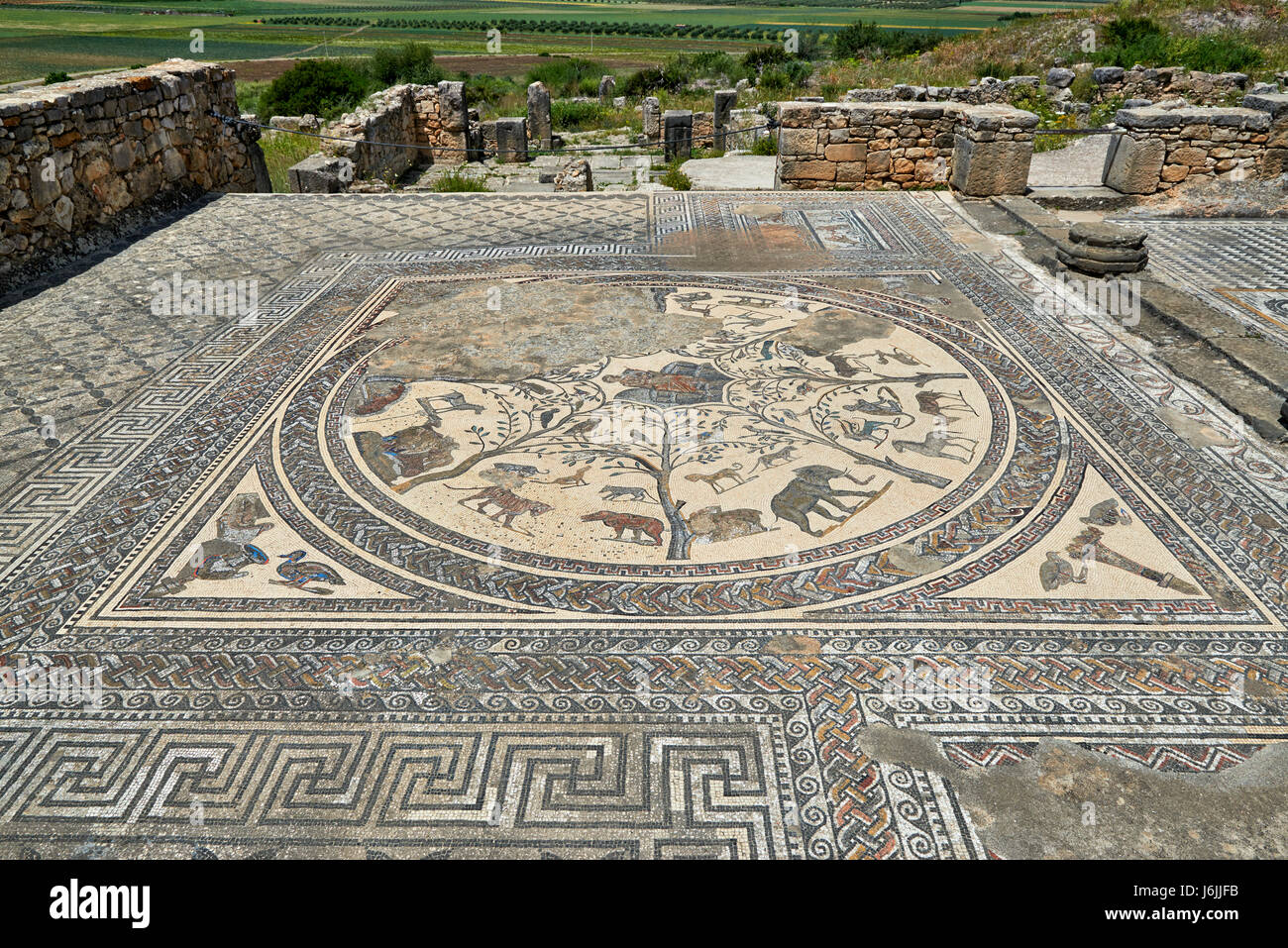 Mosaic of orpheus hi-res stock photography and images - Alamy