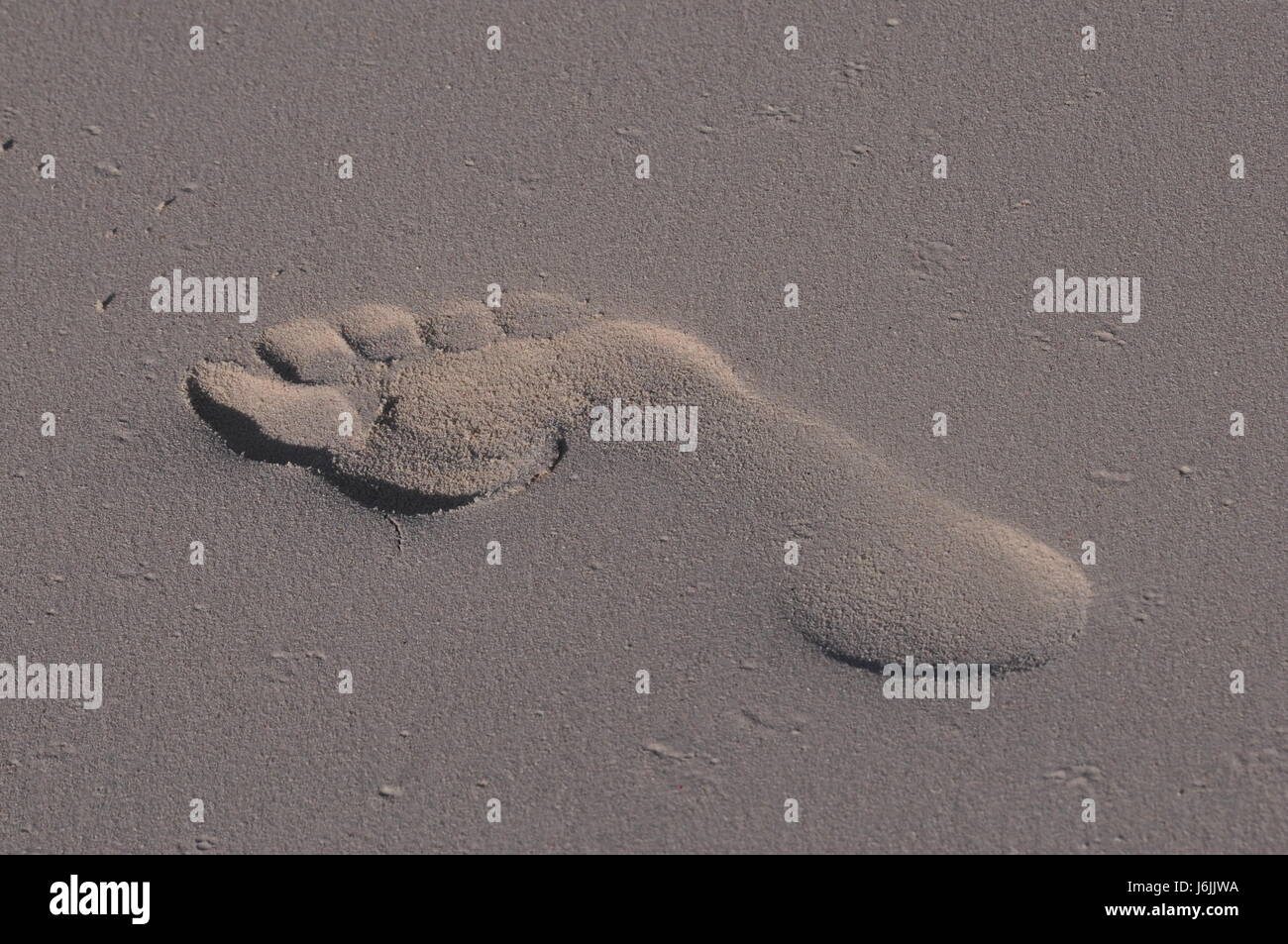 beach seaside the beach seashore foot copy salt water sea ocean water ...