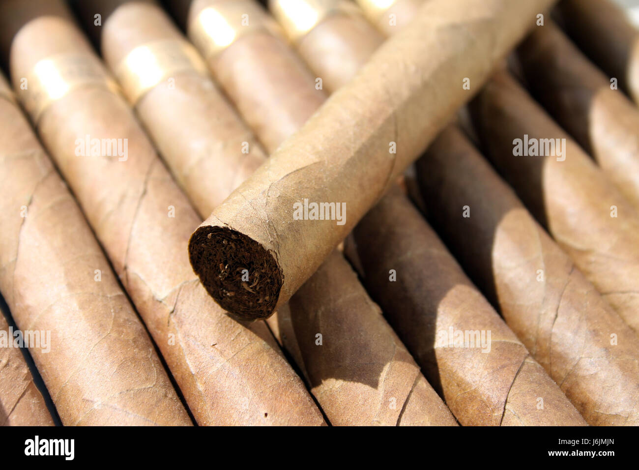 cigar tobacco enthusiasm amusement enjoyment joy gag joke pleasure fun ...