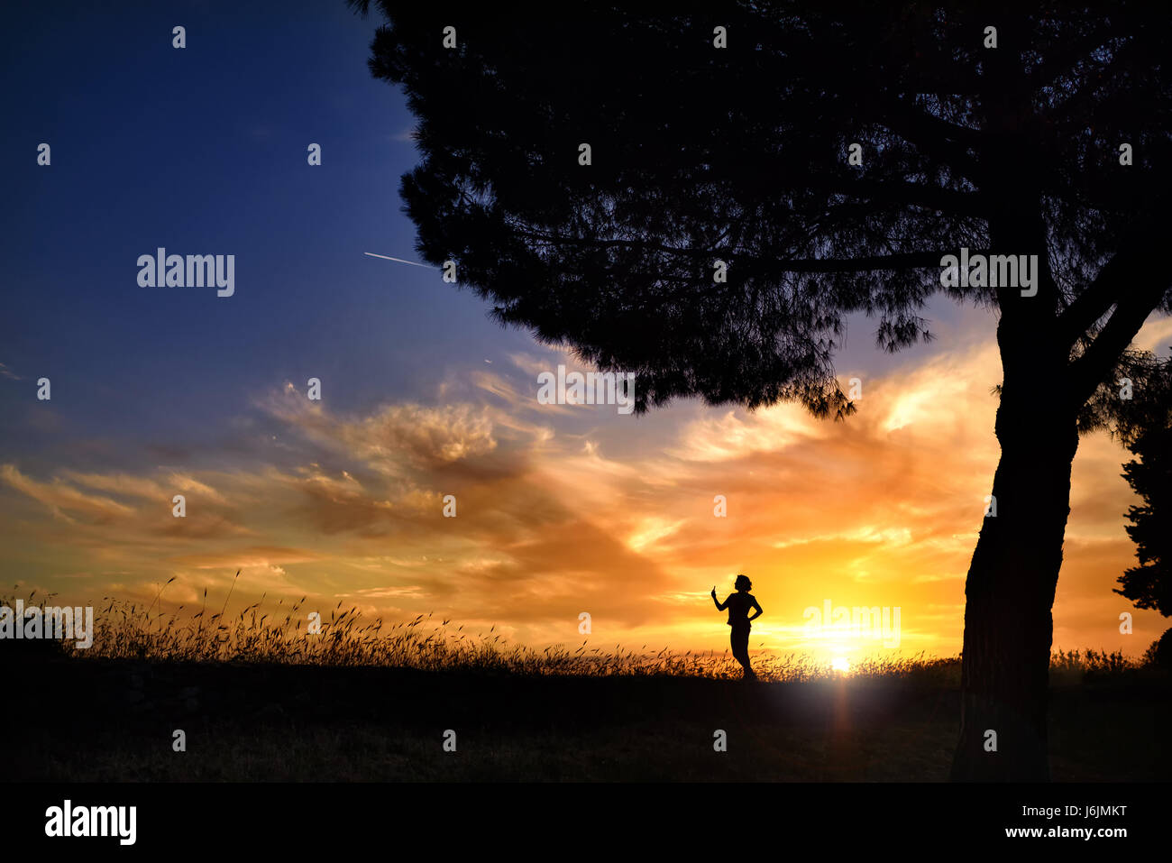 Summer sunset. Man in the sun Stock Photo - Alamy