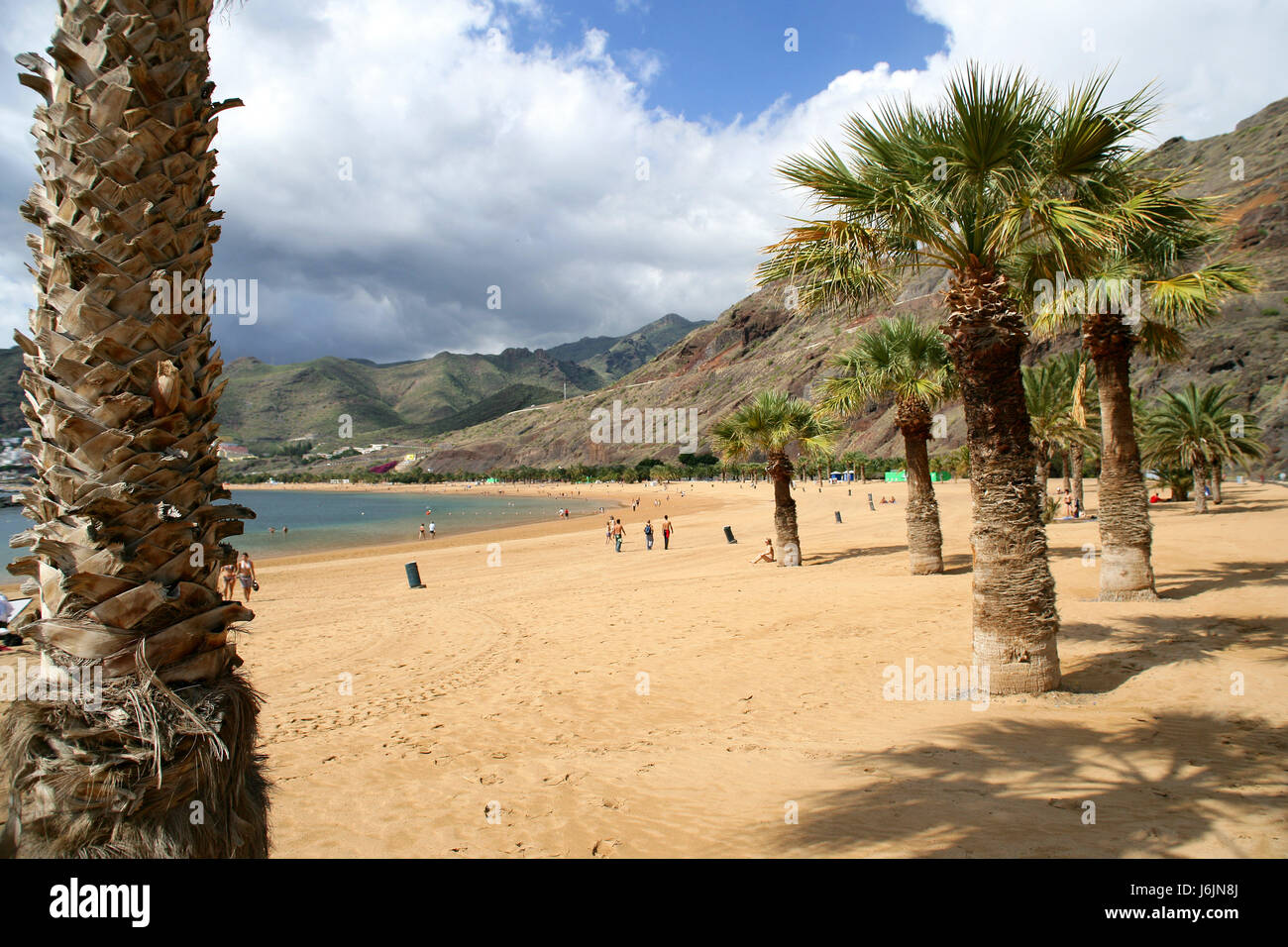 beach seaside the beach seashore spain palm sands sand beach of las teresitas Stock Photo - Alamy
