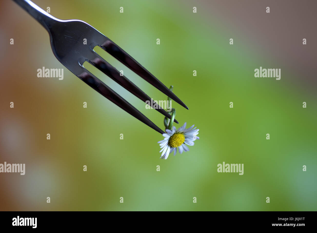 fork and flower Stock Photo - Alamy