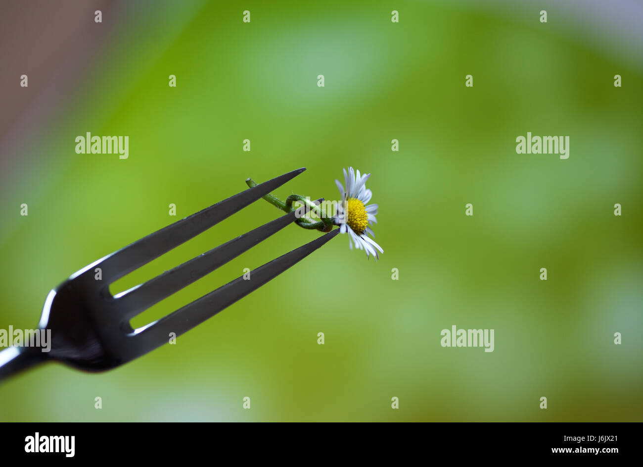 fork and flower Stock Photo - Alamy