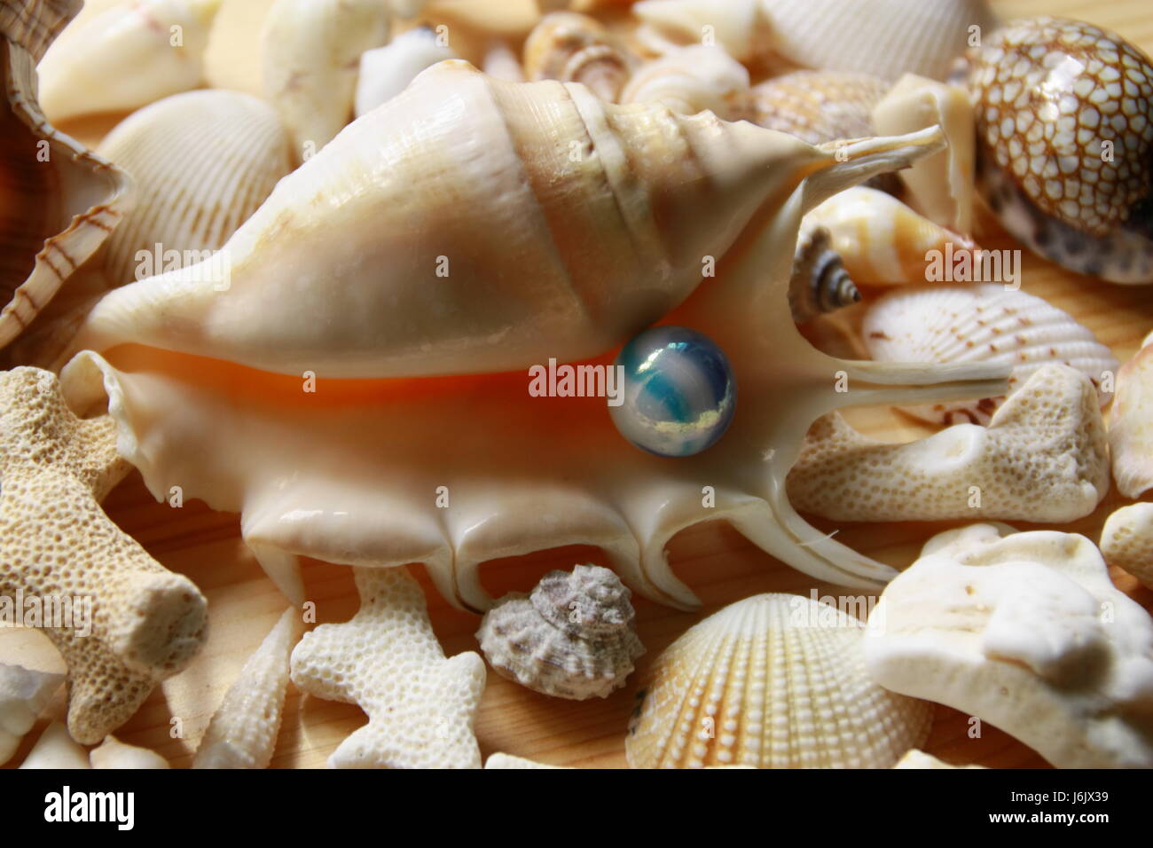 mussels with pearl Stock Photo - Alamy