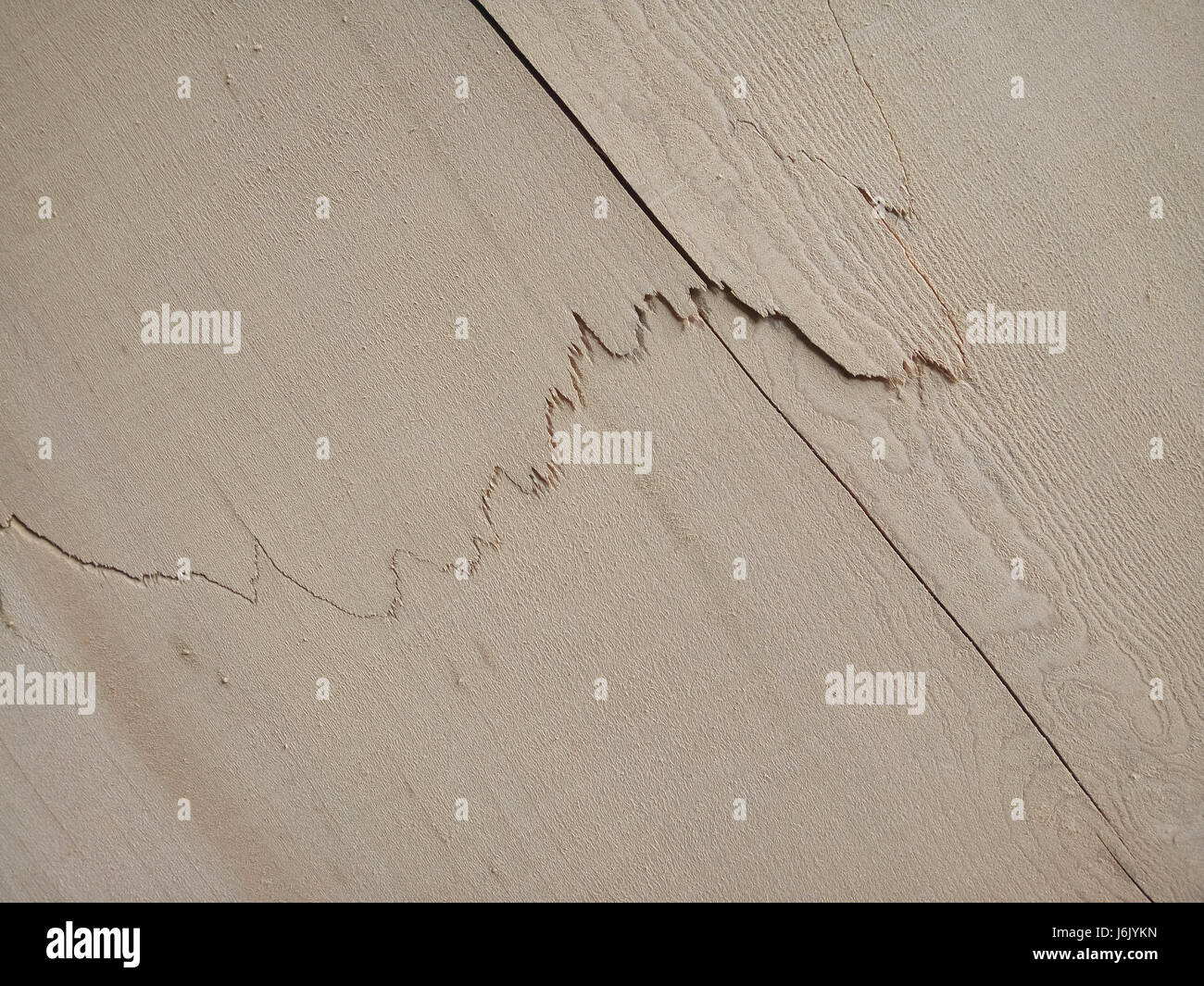 Cutted wood hi-res stock photography and images - Alamy