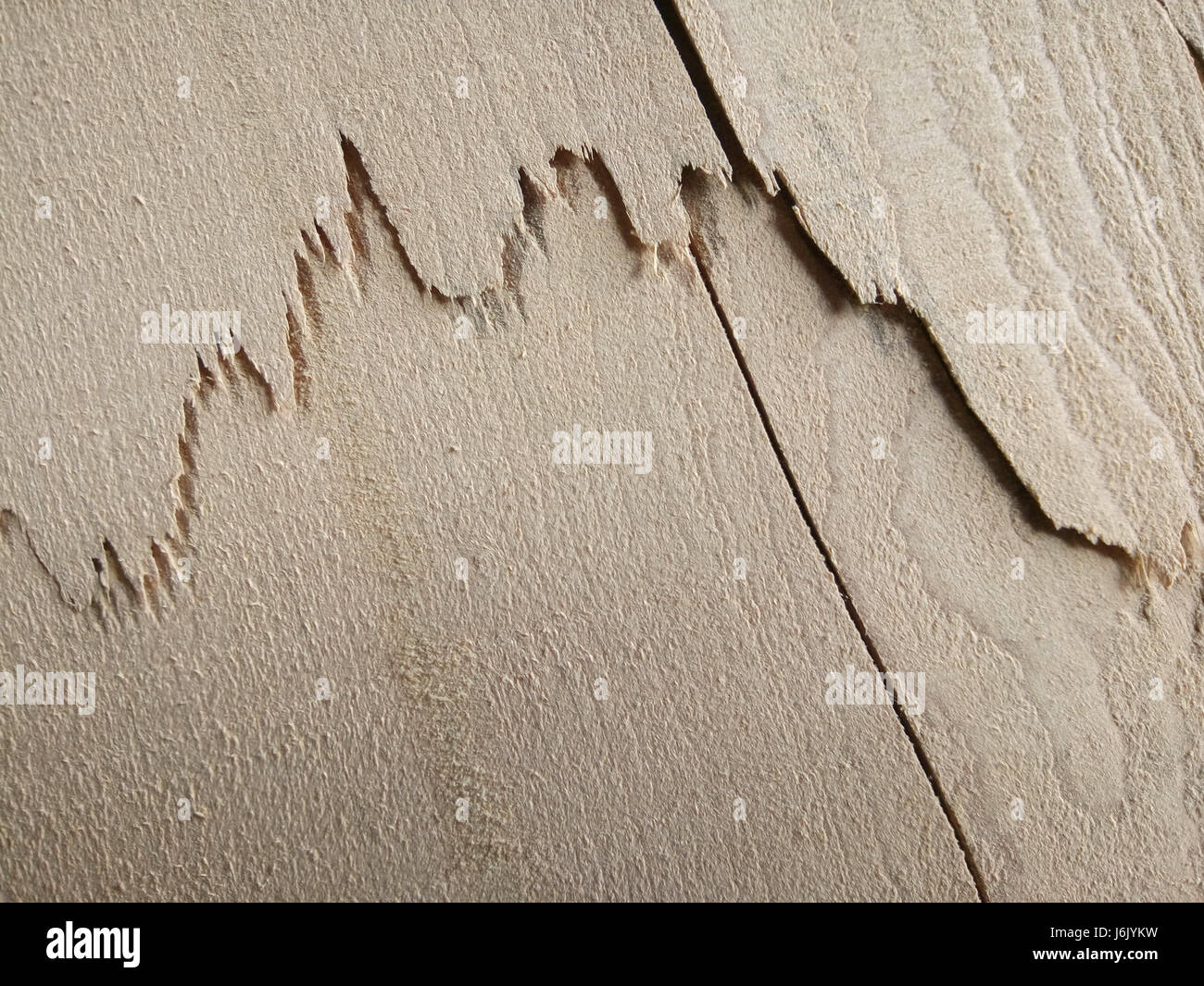 Cutted wood hi-res stock photography and images - Alamy