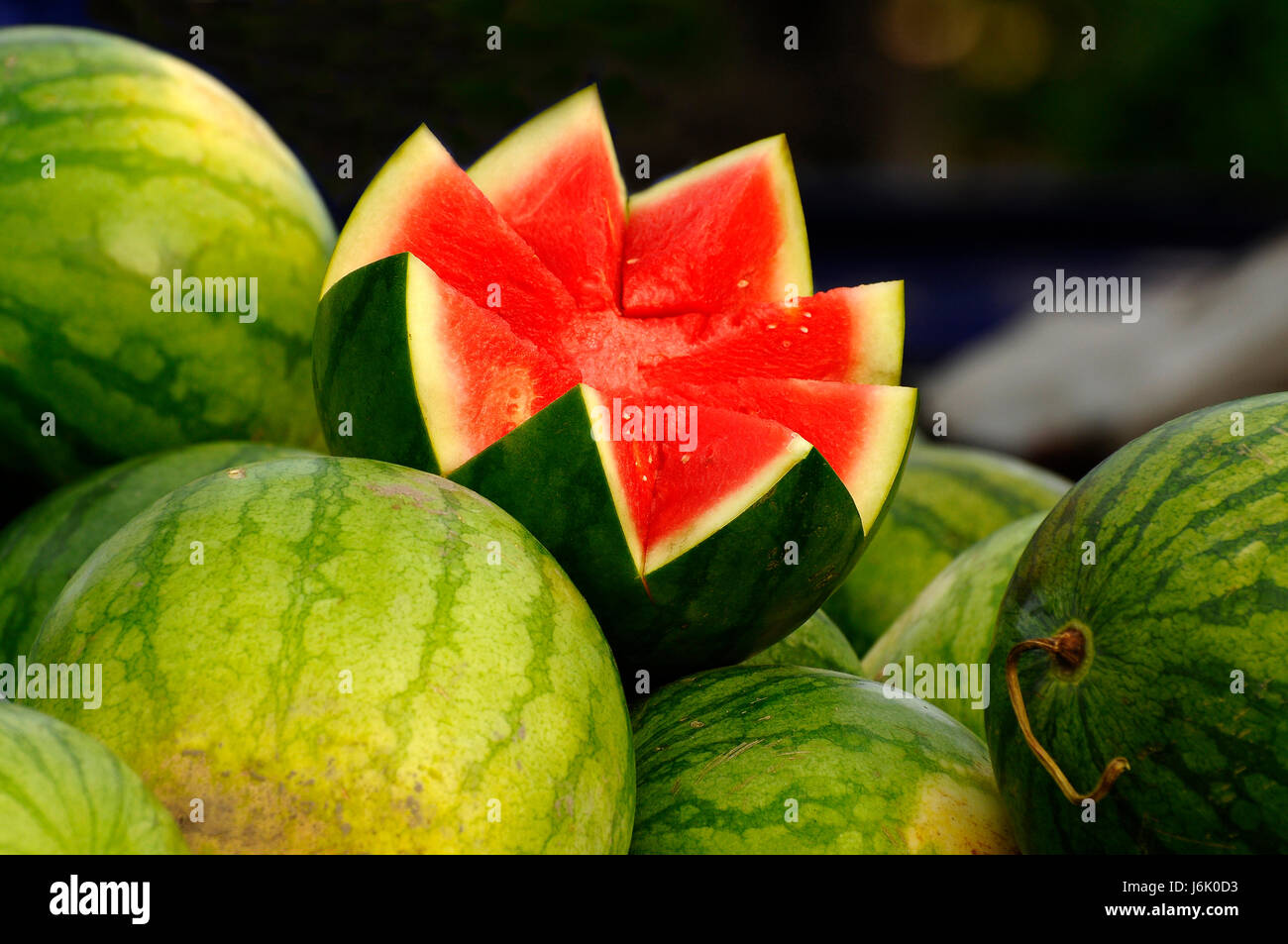 Wassermelonne hi-res stock photography and images - Alamy