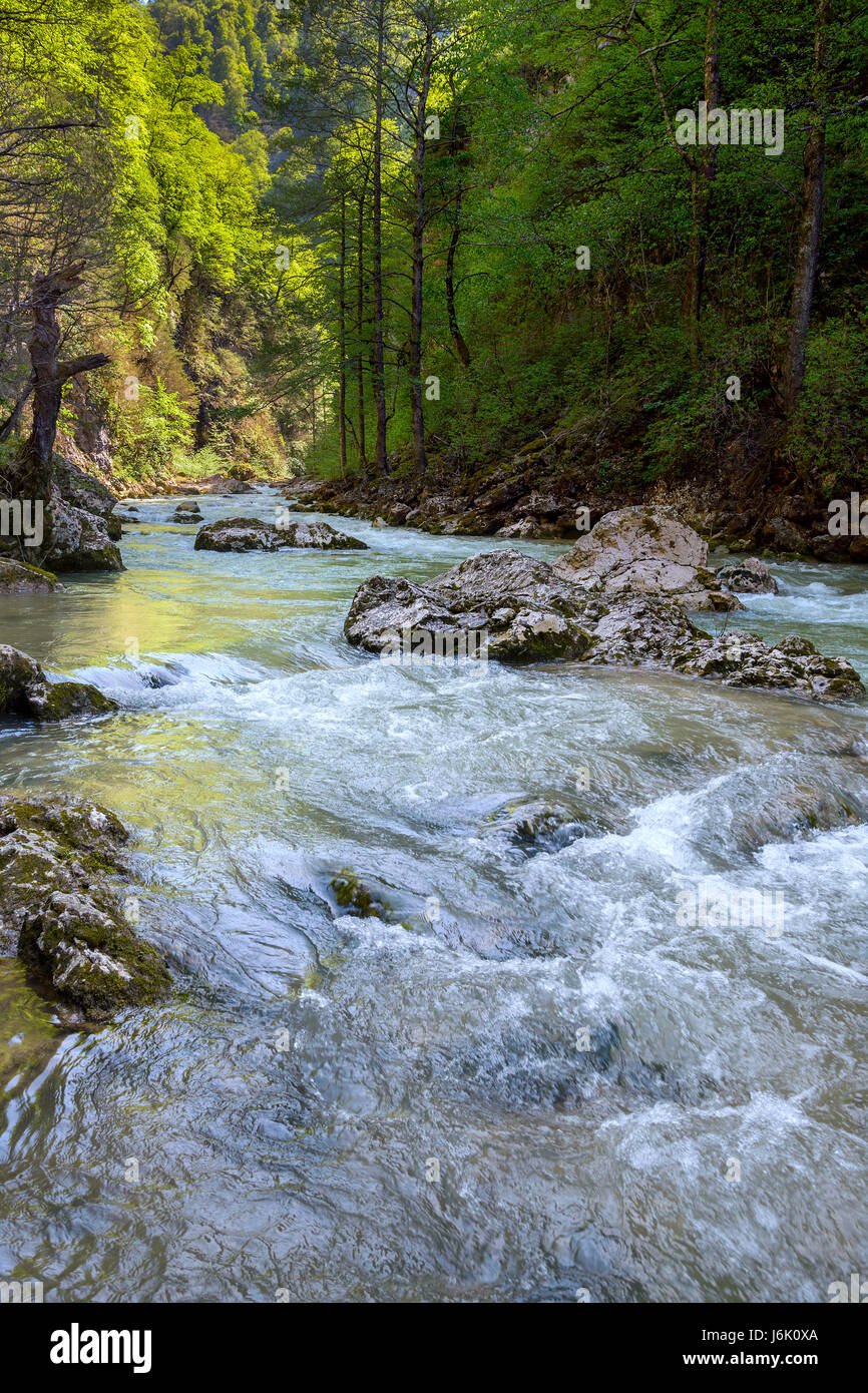 Mountain river flowing among the stone coasts Stock Photo - Alamy