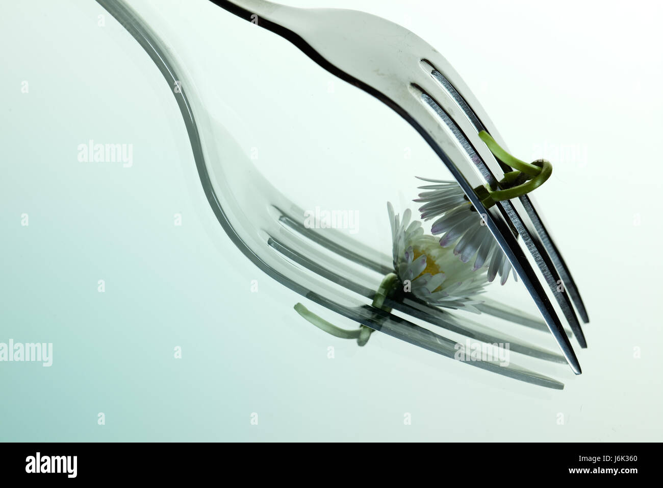 fork and flower Stock Photo - Alamy