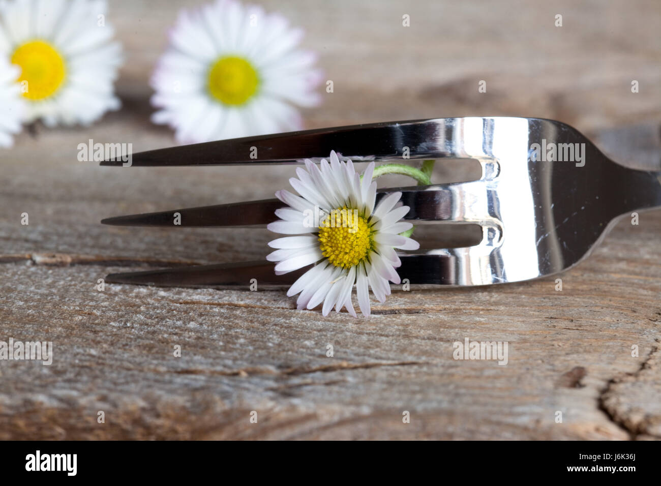 fork and flower Stock Photo - Alamy
