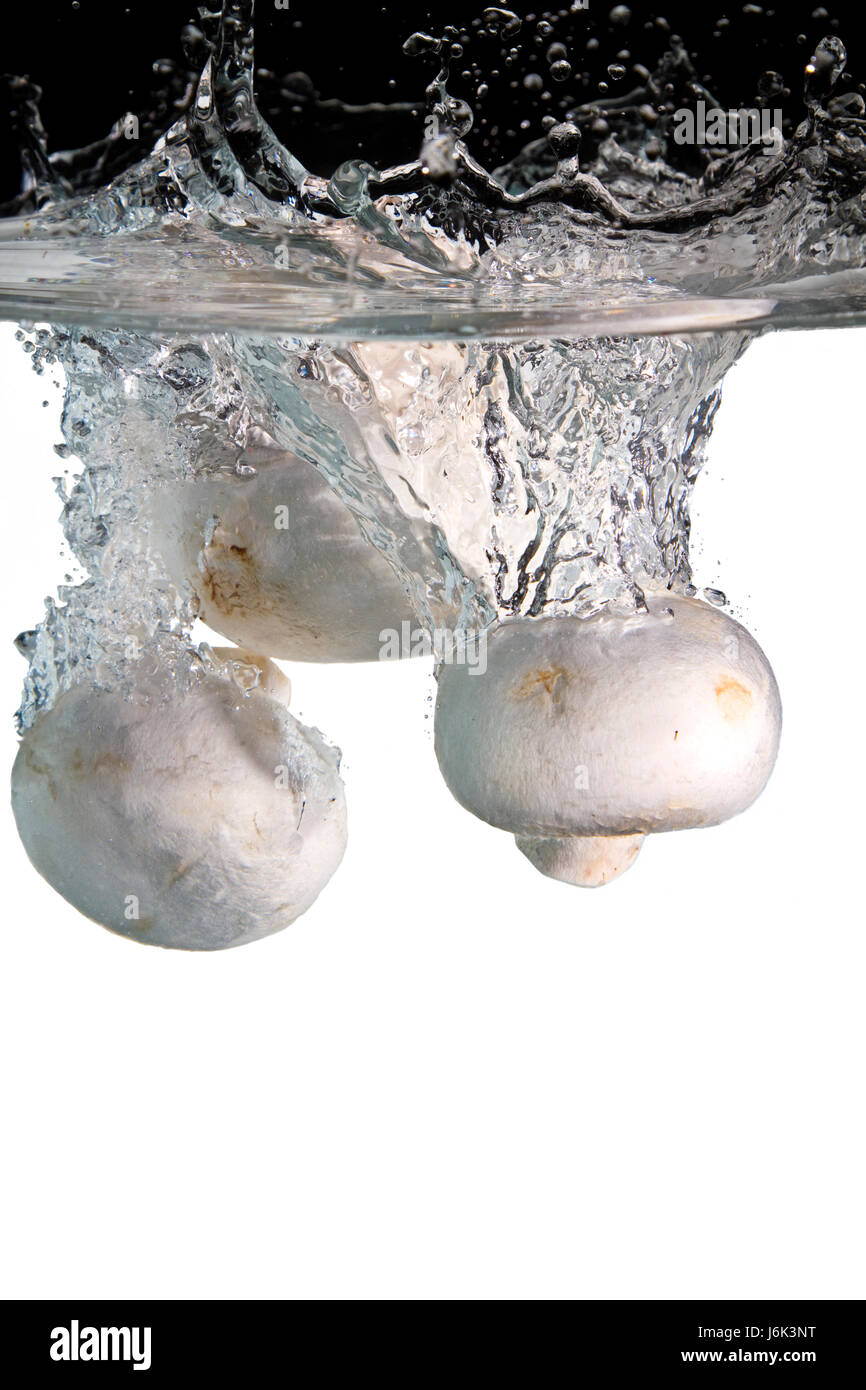 three mushrooms in water Stock Photo - Alamy