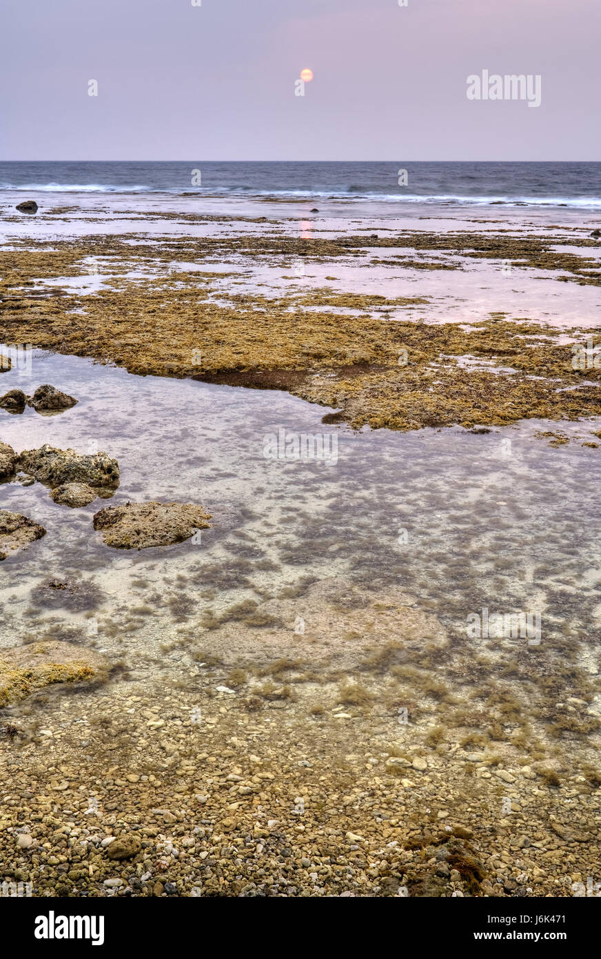 beach seaside the beach seashore outdoor coast landscape scenery ...