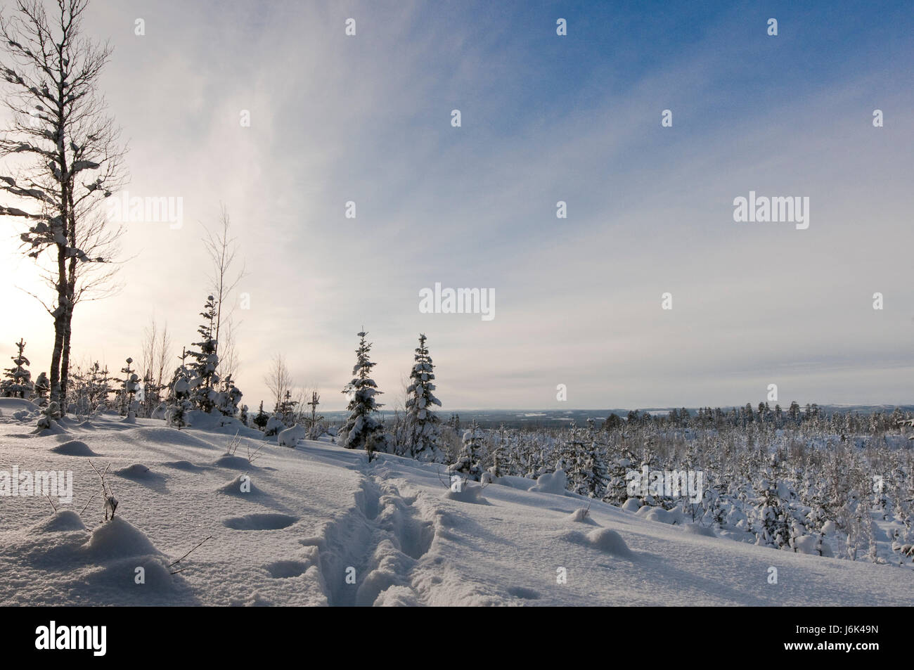 Moose tracks hi-res stock photography and images - Alamy