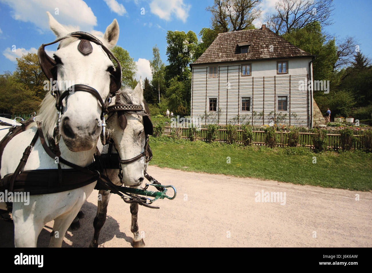House in weimar hi-res stock photography and images - Alamy