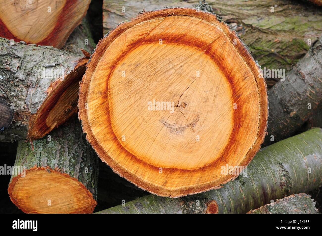 Cherrywood hi-res stock photography and images - Alamy