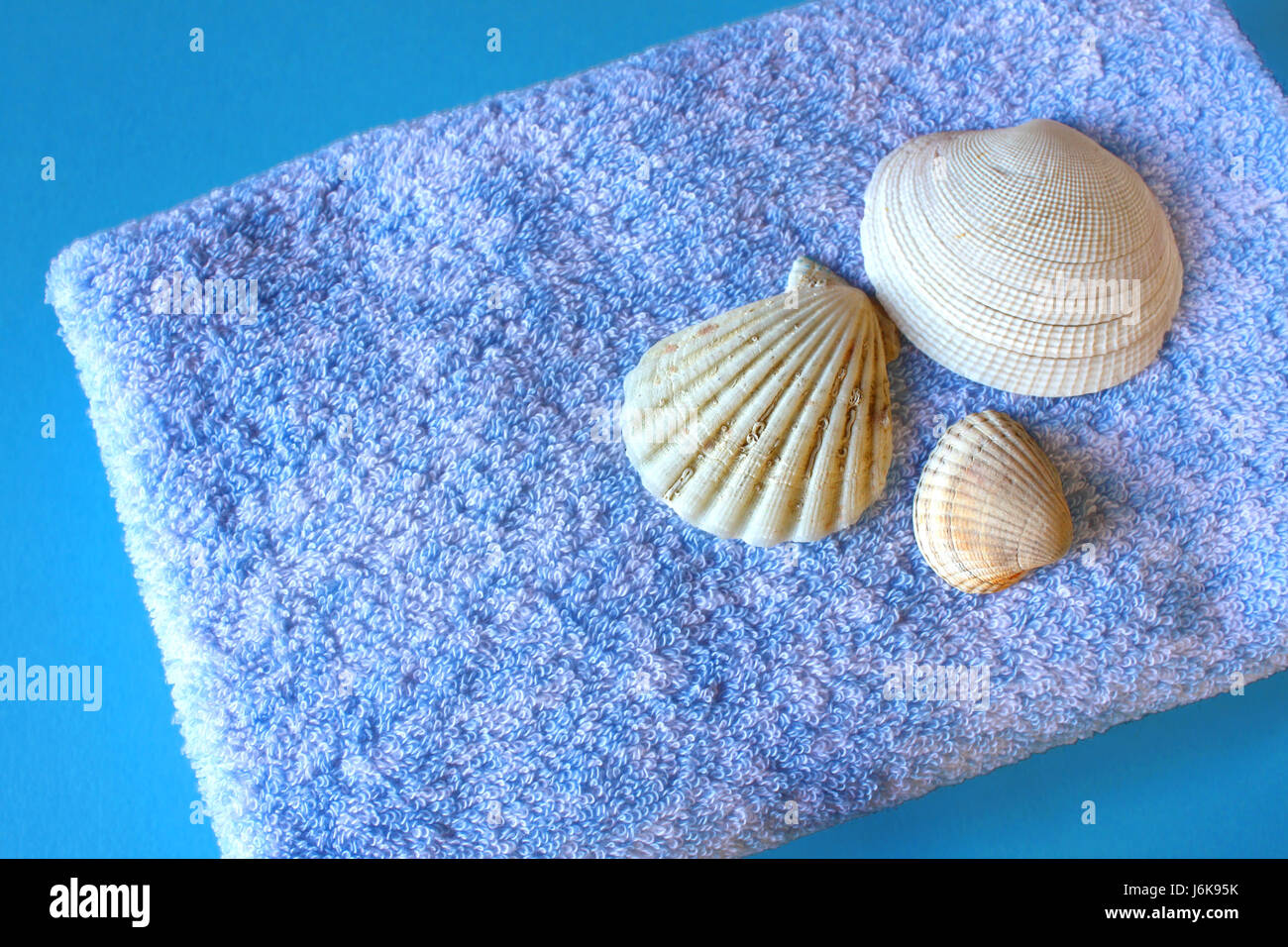 blue shell wellness towel hygiene bath towel blue pastel shell soft ...