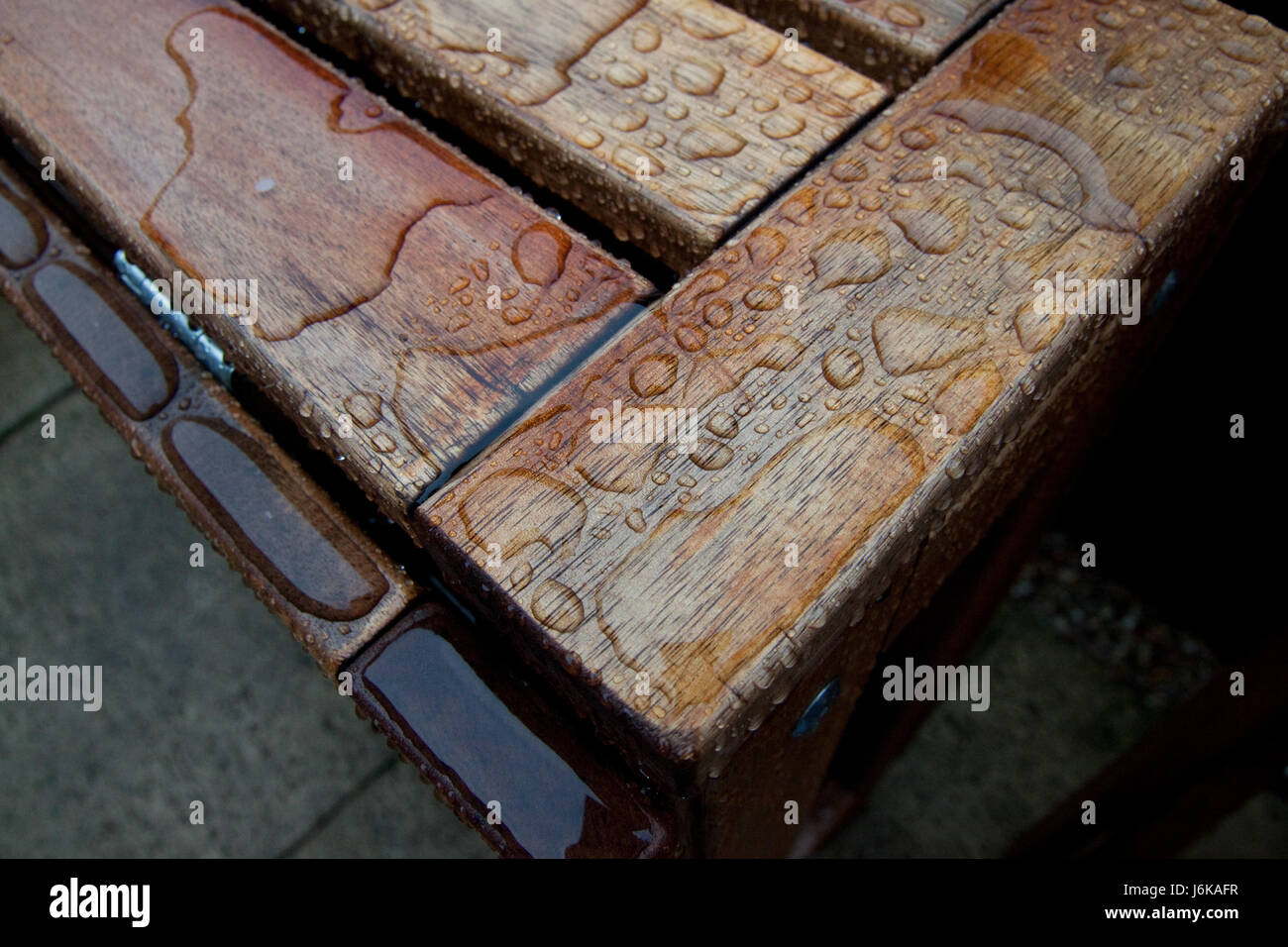 wood after rain Stock Photo - Alamy