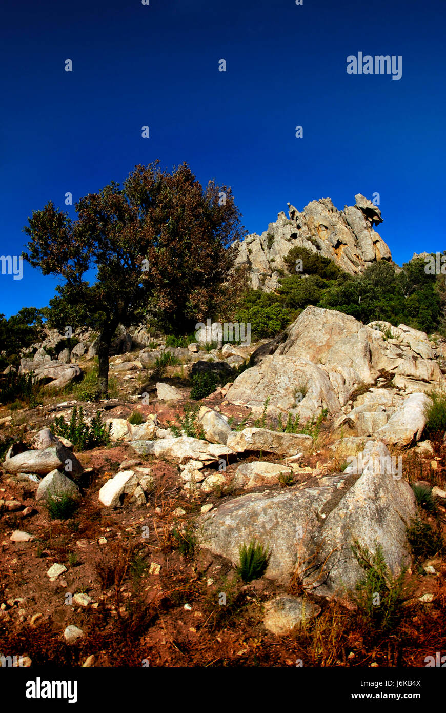stone rock boulder landscape scenery countryside nature tree hill stone ...