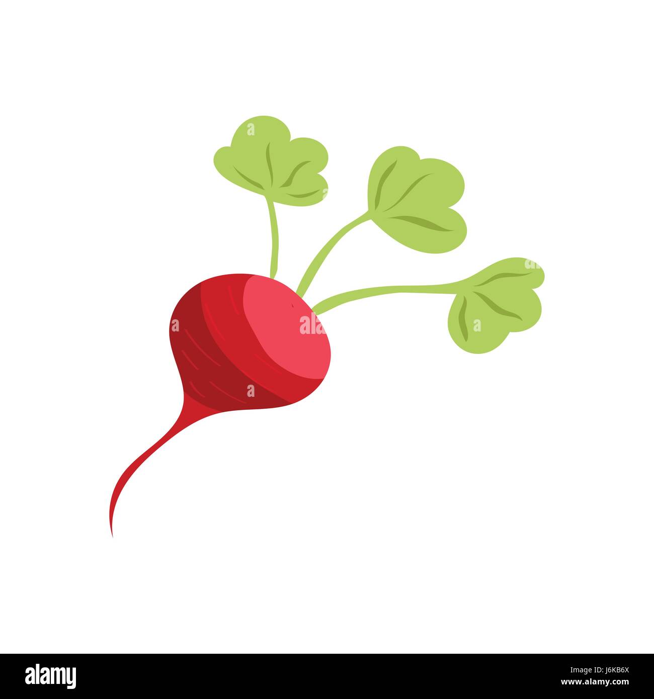 Radish icon, cartoon style Stock Vector Image & Art - Alamy