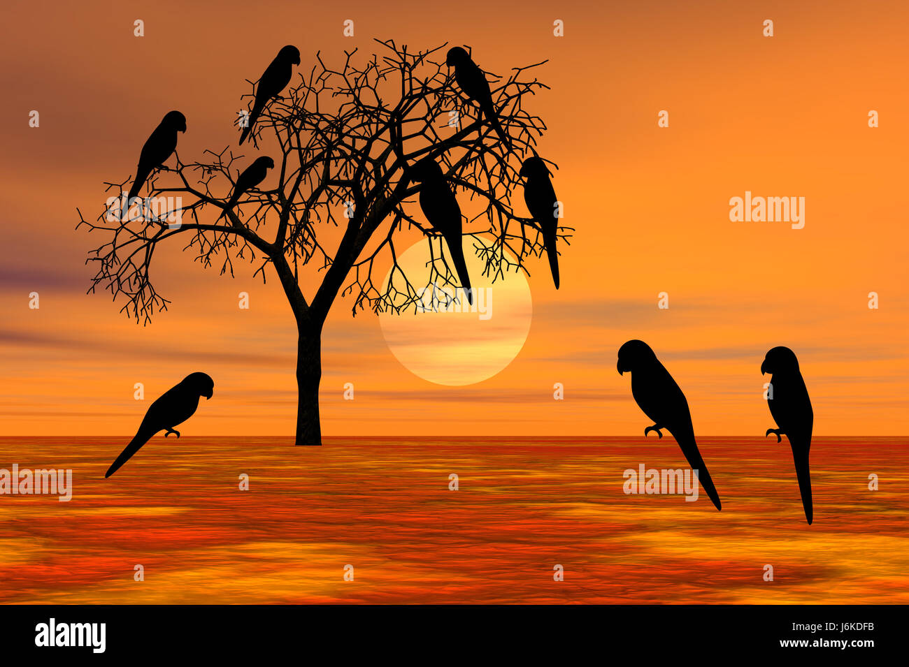 bird sunset birds sunrise parrots shear-cut parrot tree bird sunset ...