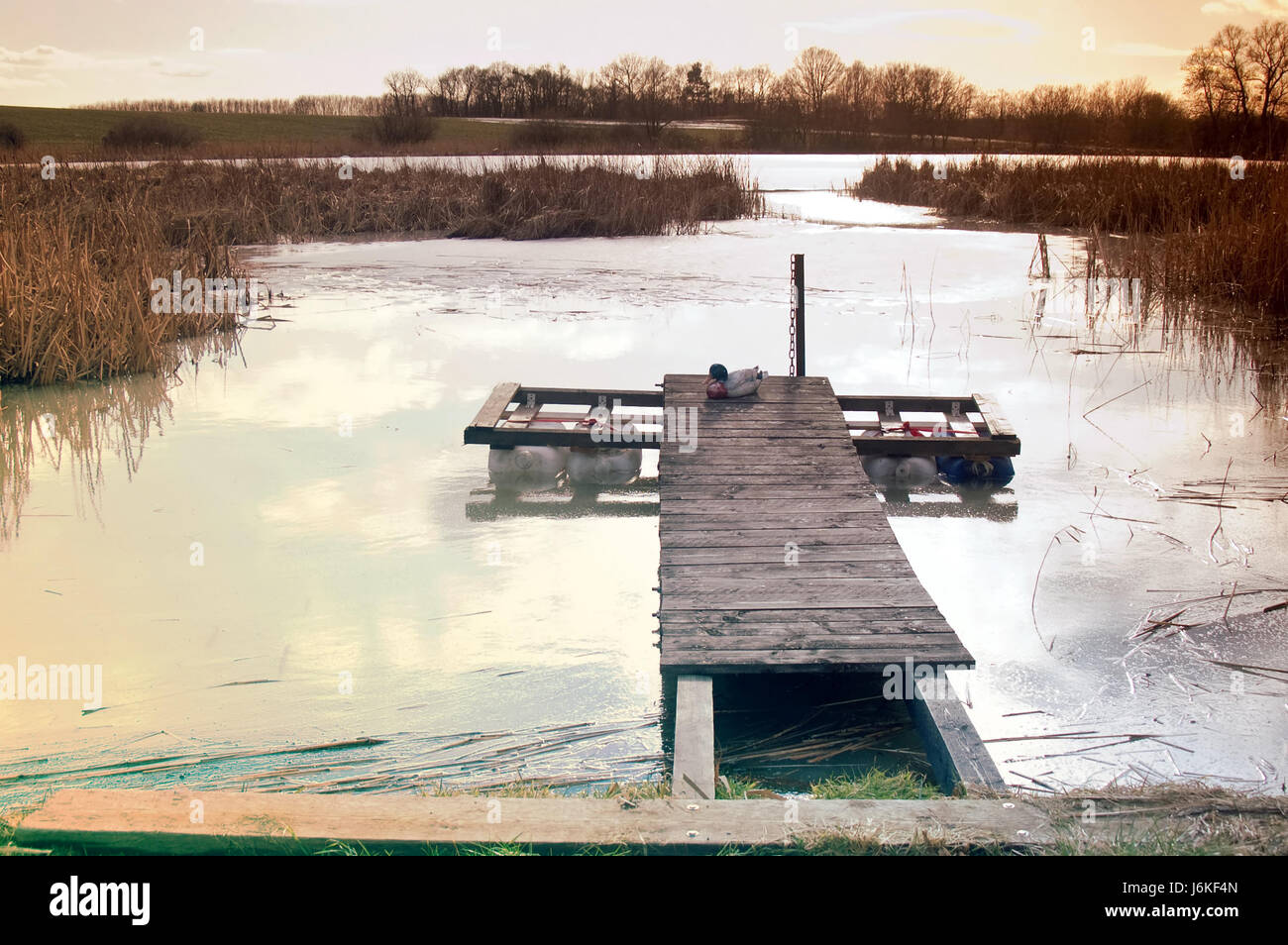small jetty at a pond Stock Photo - Alamy
