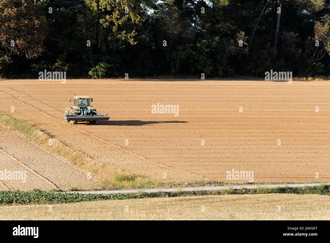 ground soil earth humus dust agriculture farming dry dried up barren ...